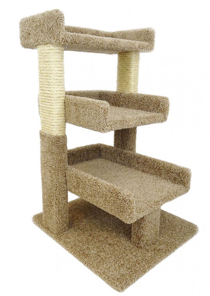 10 Best Cat Trees For Older Cats | Cat Climbing Structures