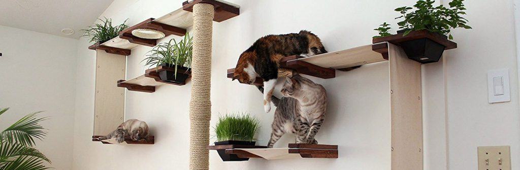 Cat Climbing Structures Best Wall Mounted Cat Tree Catastrophicreations