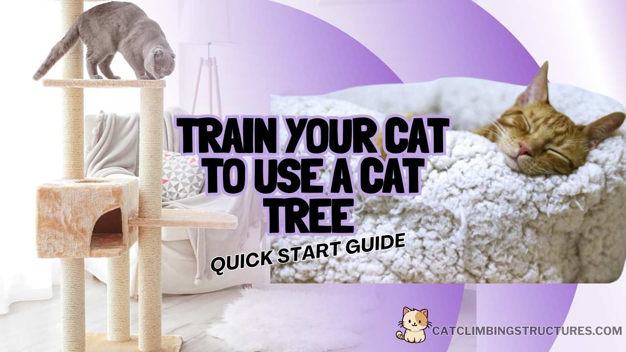 Train Your Cat to Use a Cat Tree (Quick Start) | Cat Climbing Structures